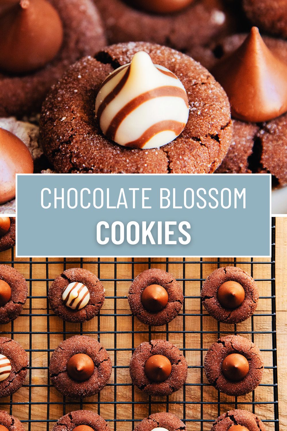 Chocolate Blossom Cookies - Best Christmas Desserts
